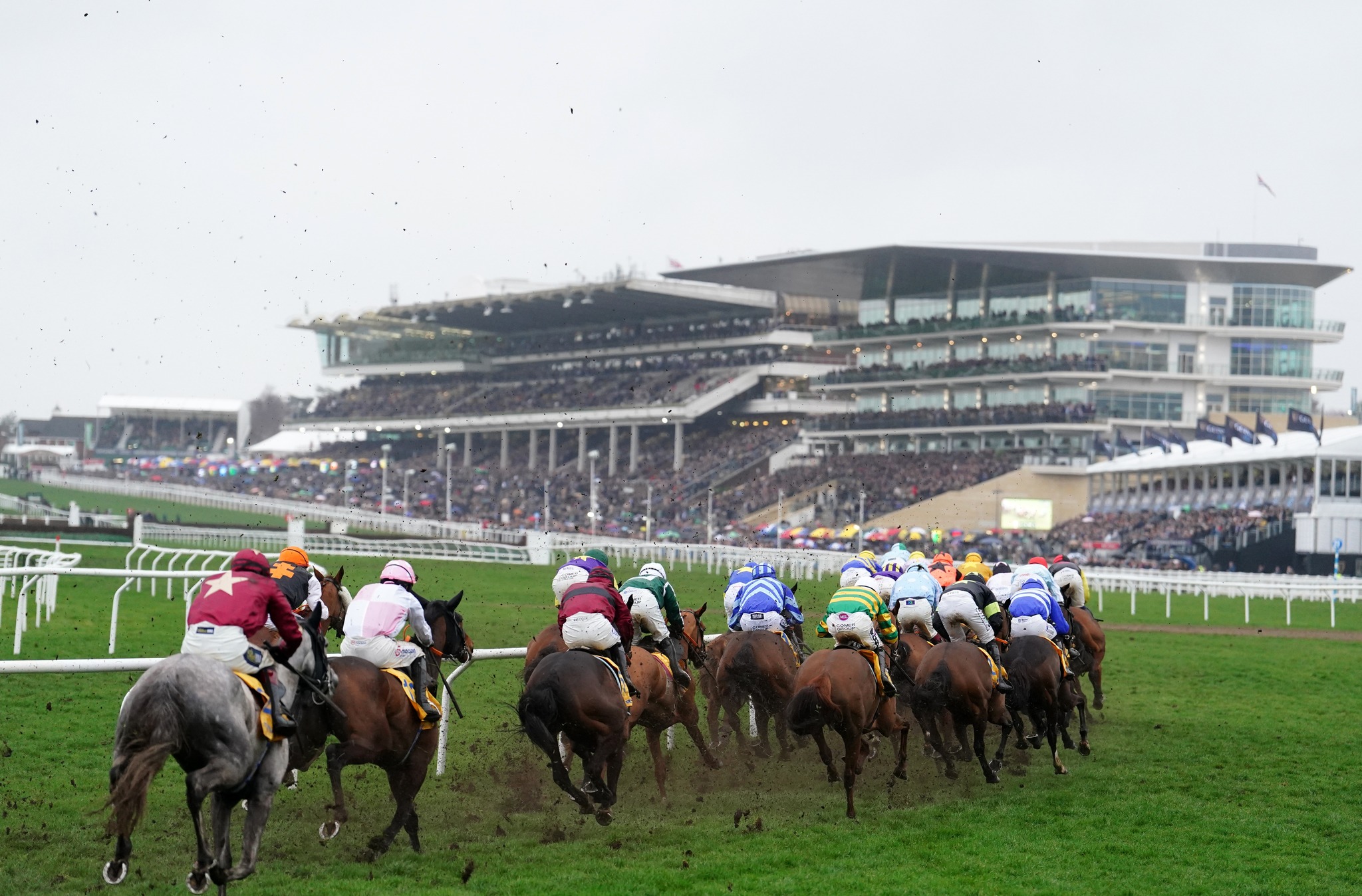 Arkle Challenge Trophy 2026: i favoriti - Sportnews BetFlag